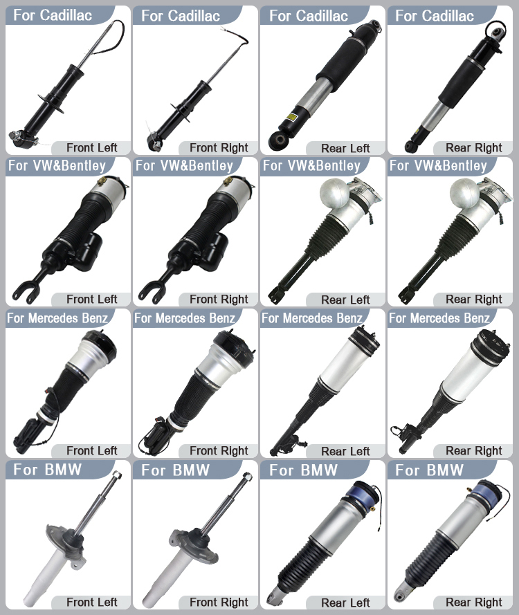 Rear Air Suspension Shock For Ford Mustang 2015-2020 - Jr3z18125c/d/g/h ...