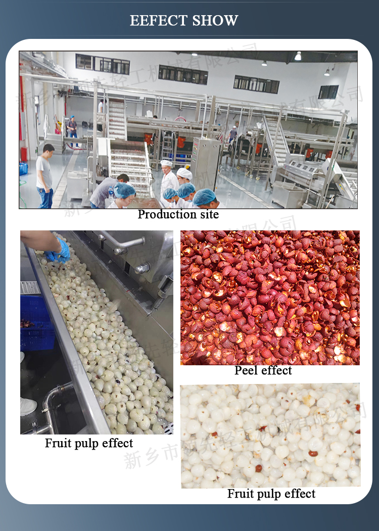 Automatic Lychee Processing Line And Peeling Machine, High Quality ...