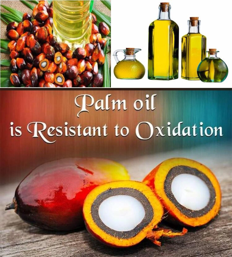 Refined Palm Oil Price Palm Oil Processing, High Quality Refined Palm ...