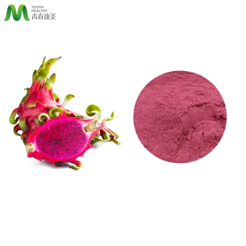 Red Dried Pitaya Dragon Fruit Powder, High Quality Red Dried Pitaya ...