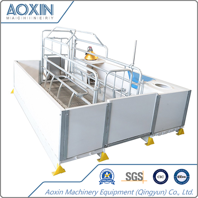 Pig Gestation Cages: Sow Independent Trough Crate, High Quality Pig ...