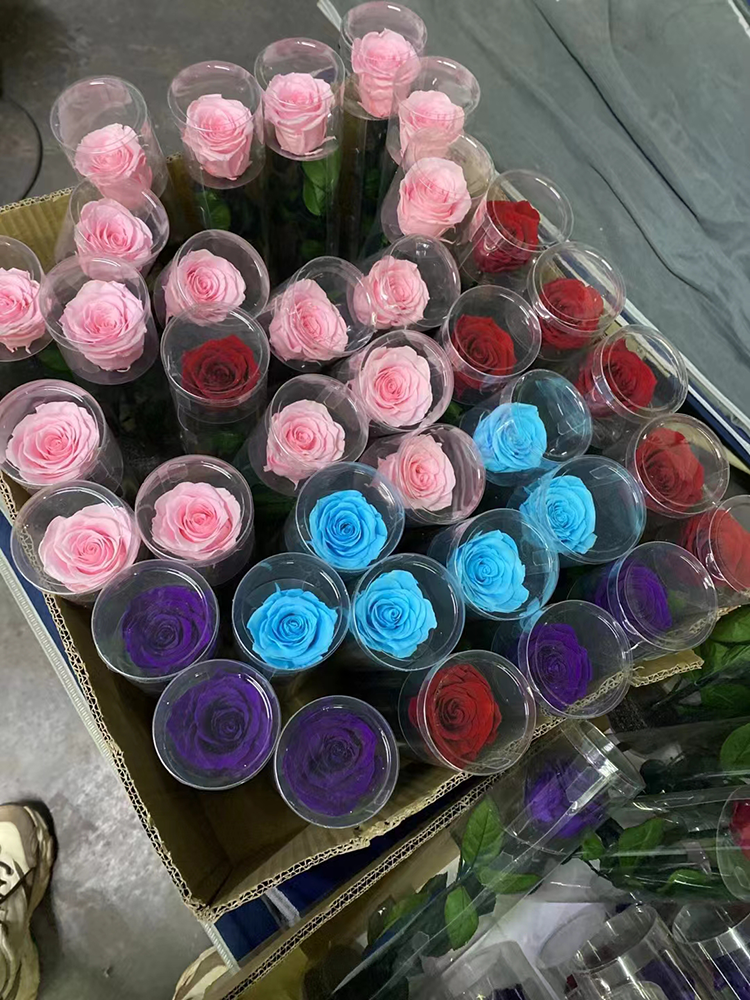 Long Stem Preserved Rose Bouquet Box For Decor, High Quality Long Stem ...