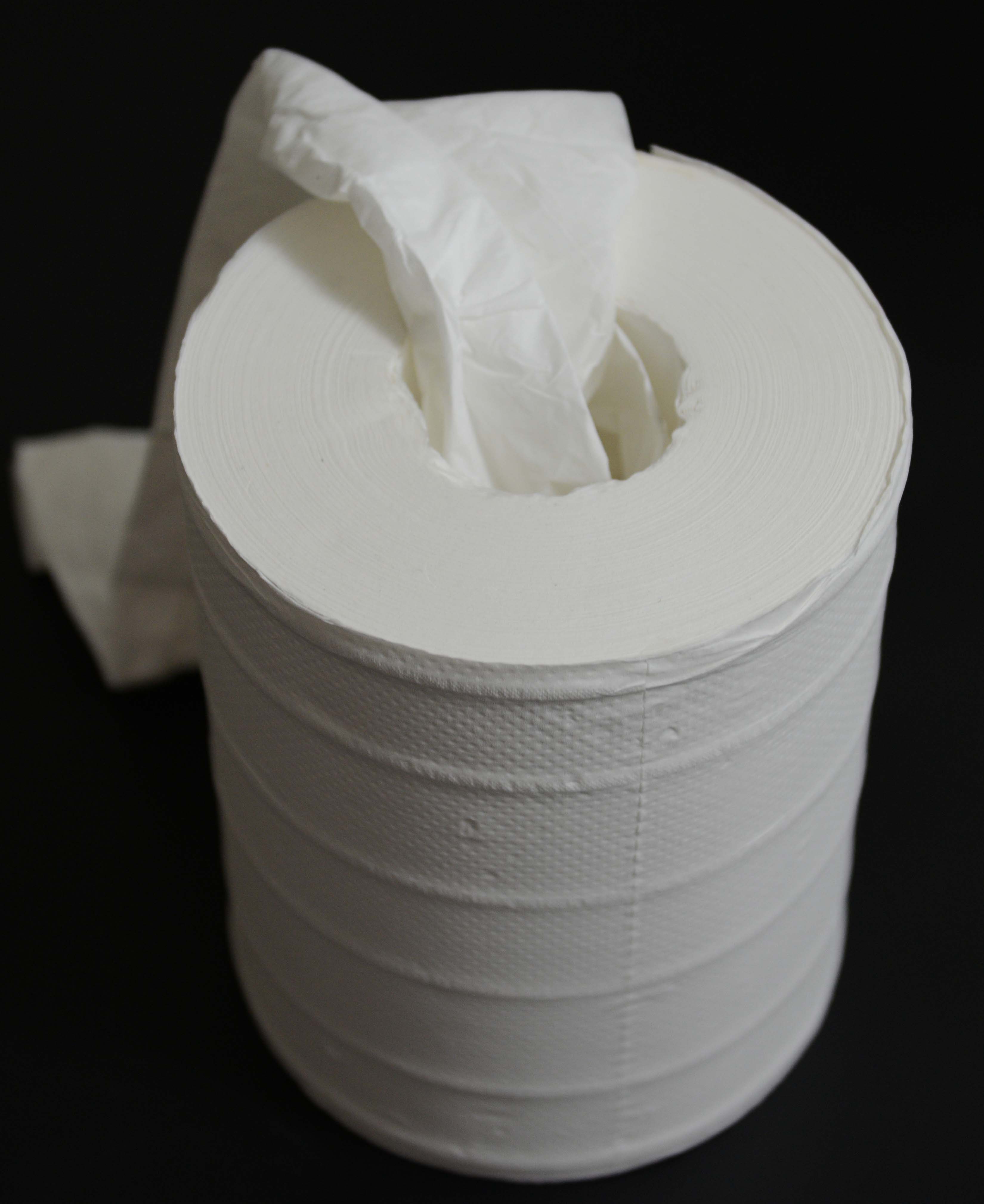 2ply Centerfeed Hand Paper Roll Towel, High Quality 2ply Centerfeed ...