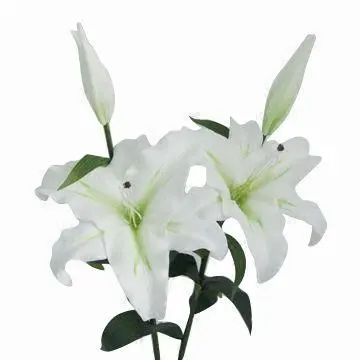 Large Lily Real Touch Flower, Made Of Pu, High Quality Large Lily Real ...