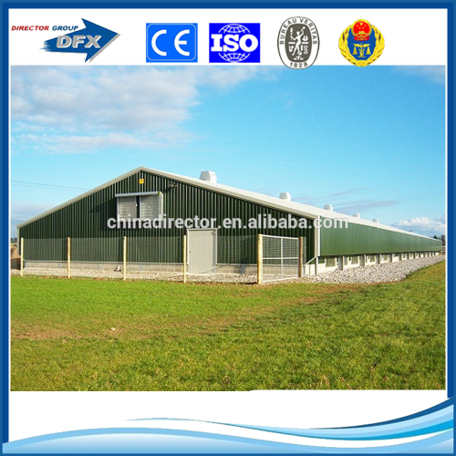 Sandwich Panel Ceiling Steel Structure Design Poultry Farm Shed, High ...