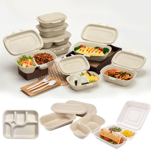 24cm 600ml Biodegradable To Go Containers Eco Friendly, High Quality ...