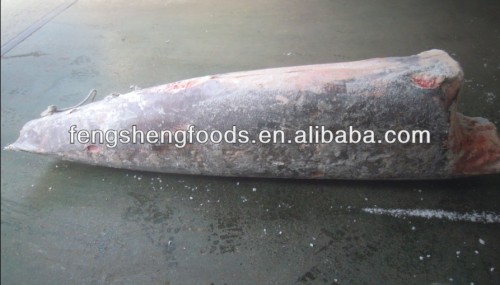 Sashimi Grade Frozen Swordfish Tuna Seafood, High Quality Sashimi Grade ...