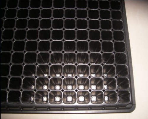 288 Cell Plastic Seed Germination Tray For Agriculture, High Quality ...