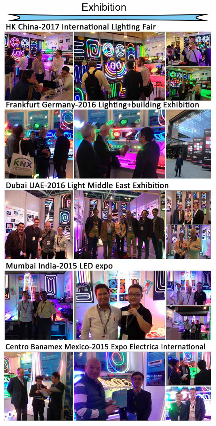 24v Color Changing Led Neon Flex Rope Light, High Quality 24v Color ...