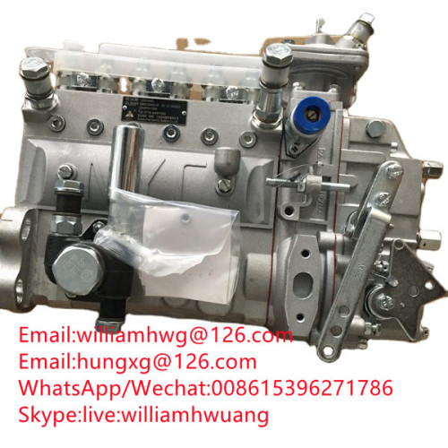 Deutz Fuel Injection Pump 13053063 Cummins Fuel Injection Pump 5267708 ...