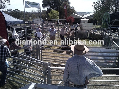 Portable Rails Sheep Yard/sheep Yard Panels, High Quality Portable ...