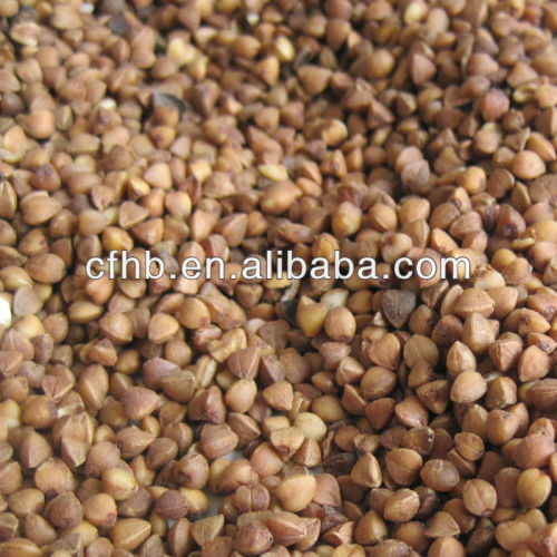Raw And Roasted Buckwheat Kernels, High Quality Raw And Roasted ...