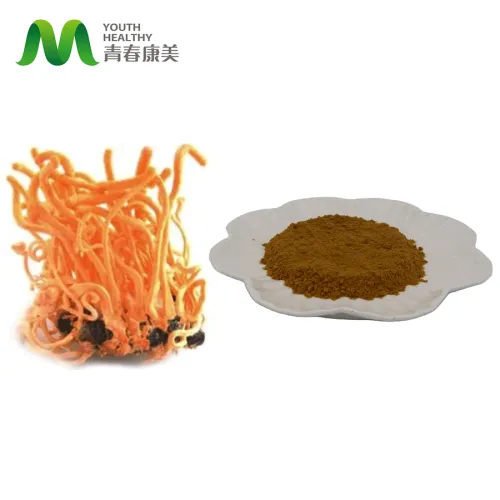 Organic Cordyceps Militaris Extract Powder, High Quality Organic ...