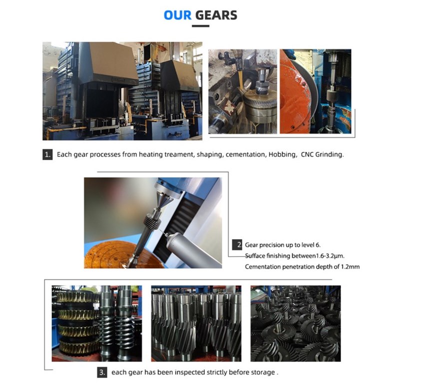 Ac Dc Motor Types: Lifei Gear And Induction Motors In Electrical ...
