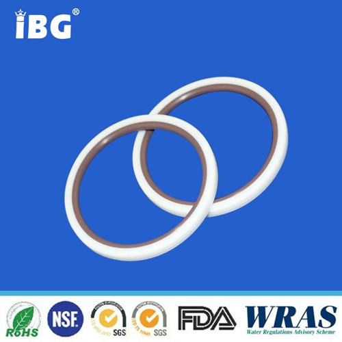 동적 인감 Nbr Ptfe 고무 링 Glyd, Bossgoo.com의 고품질 동적 인감 Nbr Ptfe 고무 링 Glyd