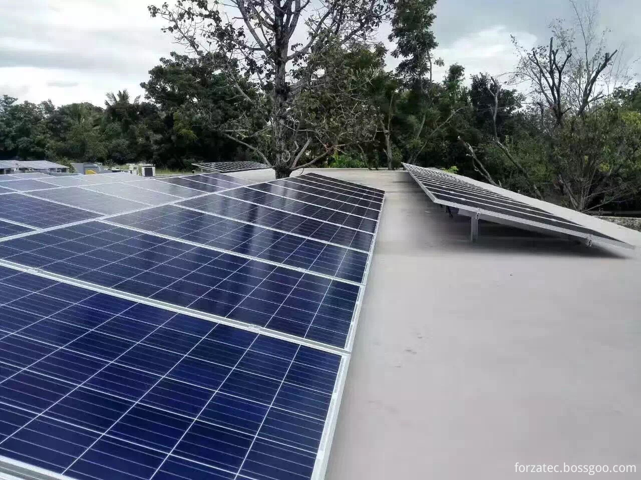 Poly Crystalline Silicon Solar Cell, High Quality Poly Crystalline ...