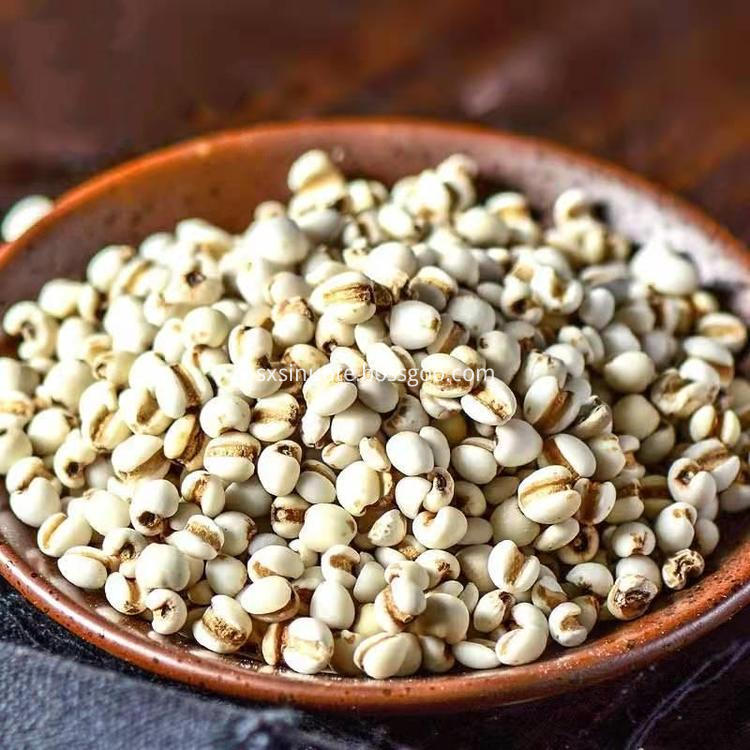 Coix Seed Extract 작업의 Tears Powder Extracts, Bossgoo.com의 고품질 Coix Seed ...
