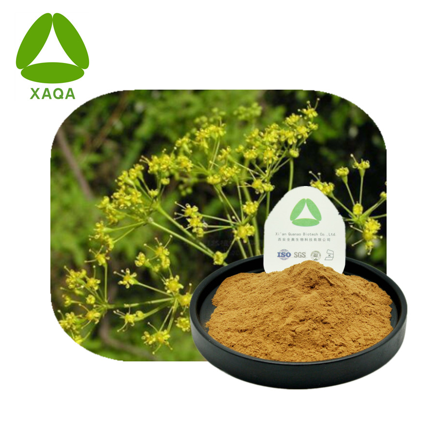 Ferula Extract Powder Natural Boosts Immunity Material, High Quality ...