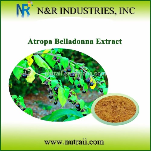 Plant Extract Atropa Belladonna Extract, High Quality Plant Extract Atropa Belladonna Extract on ...