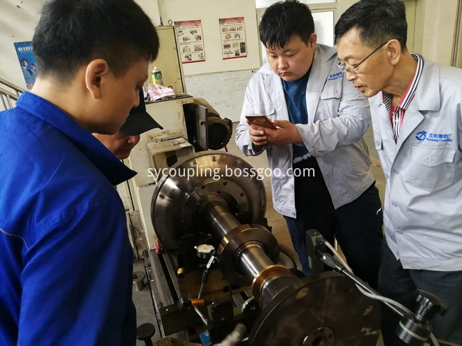 Hydraulic Coupling For Thermal Power Plant, High Quality Hydraulic ...