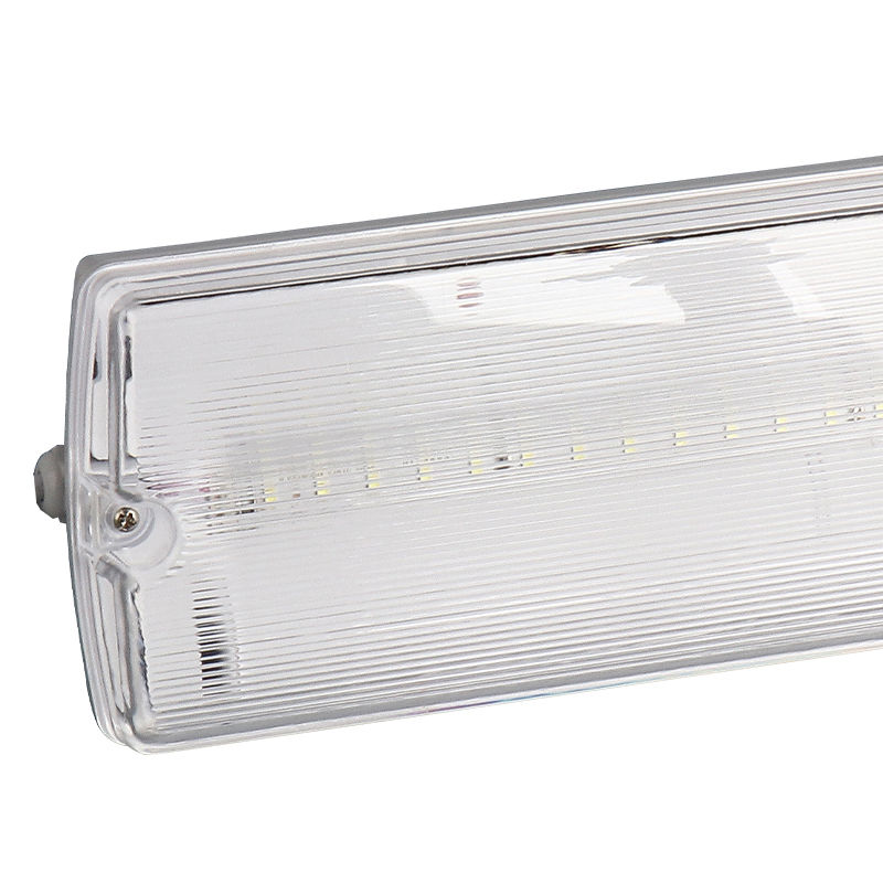 Top Fashion Fire Safety Led Bulkhead Emergency Light, High Quality Top ...