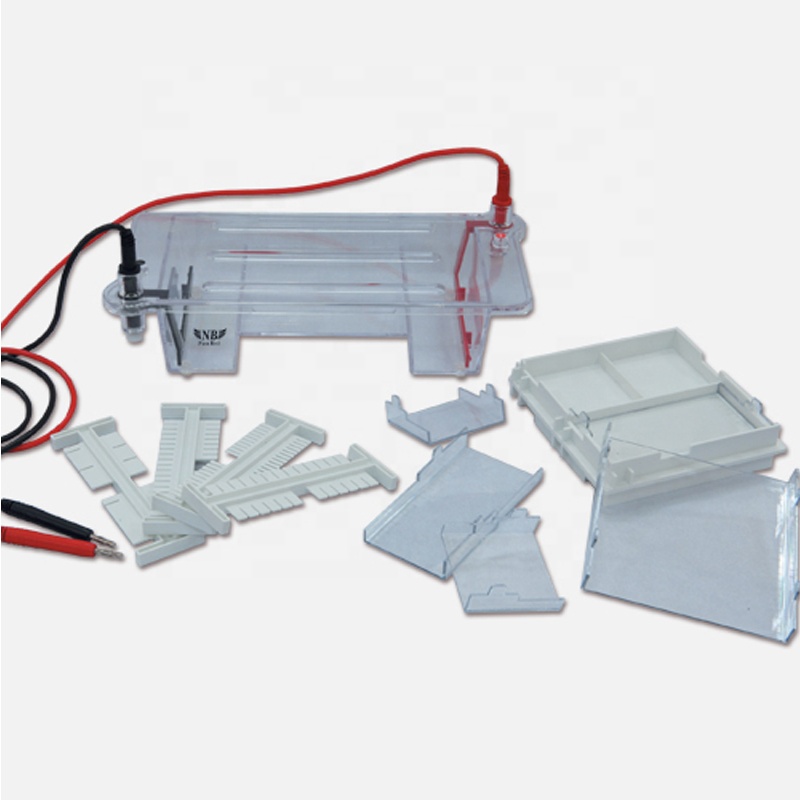 Mini Dna Gel Electrophoresis Chamber Lab 15, High Quality Mini Dna Gel ...