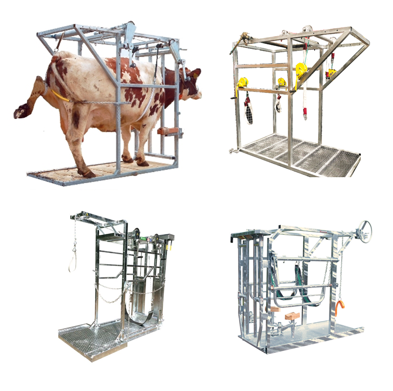 Cattle Equipment /electric Cattle Hoof Trimming, High Quality Cattle ...