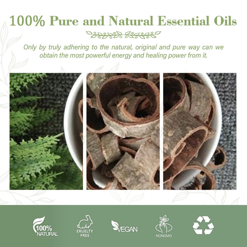 Magnolia Officinalis Pe Magnolia Bark Extract Cortex Magnolia ...