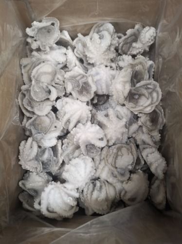 Frozen Octopus Short Leg 60-80g, High Quality Frozen Octopus Short Leg ...