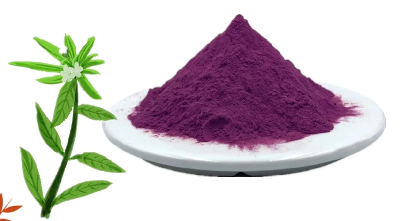 Anti Cancer, Anti-inflammatory and Antibacterial Products----- Shikonin