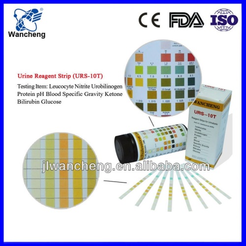 Leukocytes Nitrite Test Urinary Infection Urine Strips, High Quality ...