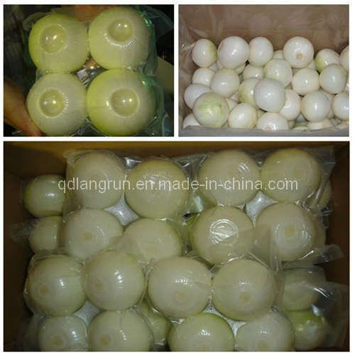 Peeled Onion, High Quality Peeled Onion on Bossgoo.com