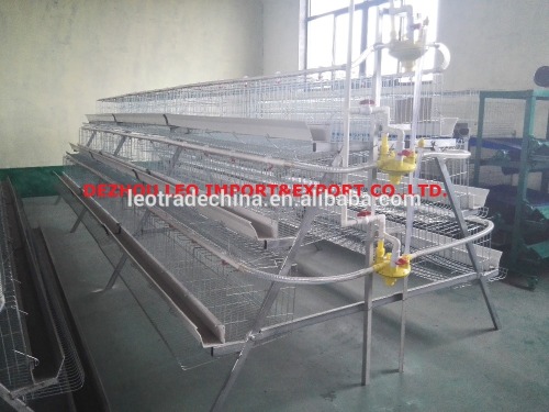 120 Chicken Layers Battery Cage For Sale In Africa, High Quality 120 ...