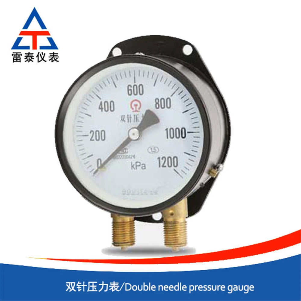 Double needle pressure gauge China Manufacturers Suppliers Factory Exporter