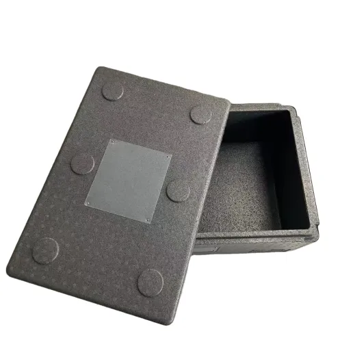 Epp Foam Box Packaging, High Quality Epp Foam Box Packaging on Bossgoo.com