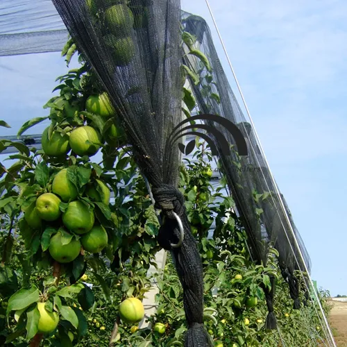 Agtek+ Gable Orchard Anti-hail Netting System , High Quality Agtek+ ...