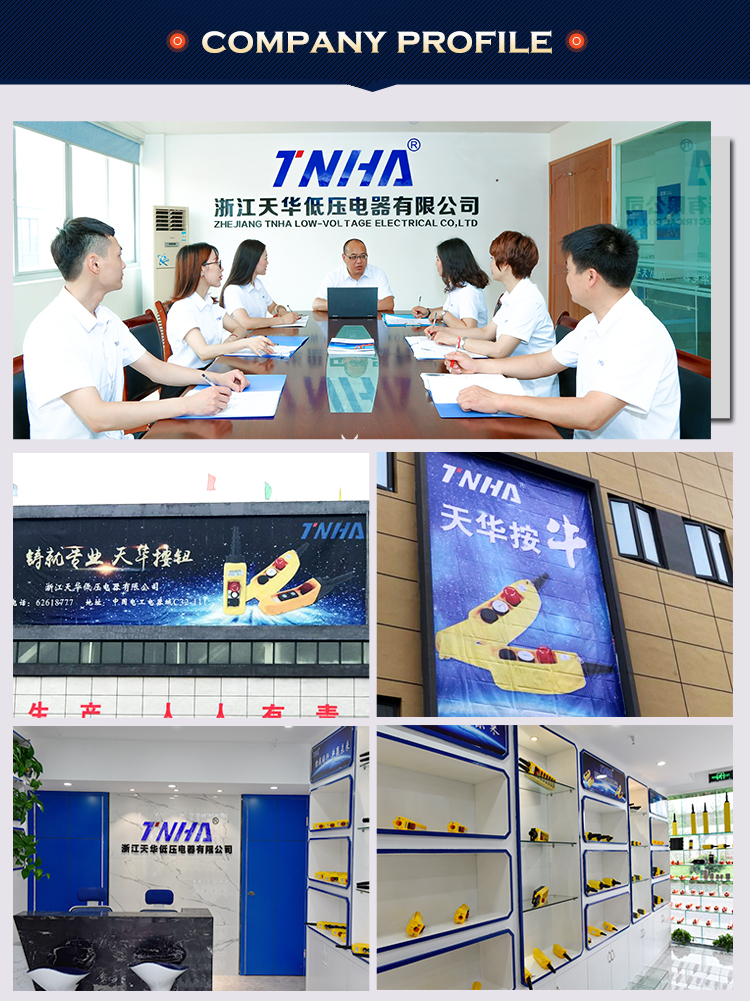 Emergency Stop Button Control Box Switch Tnha1-64c, High Quality ...