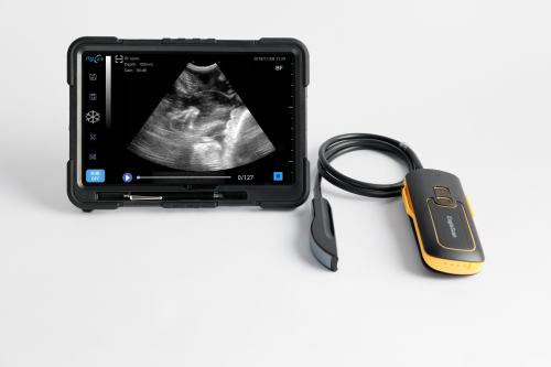 Eaglescan Lc Ultrasound For Cattle Pregnancy Test, High Quality ...