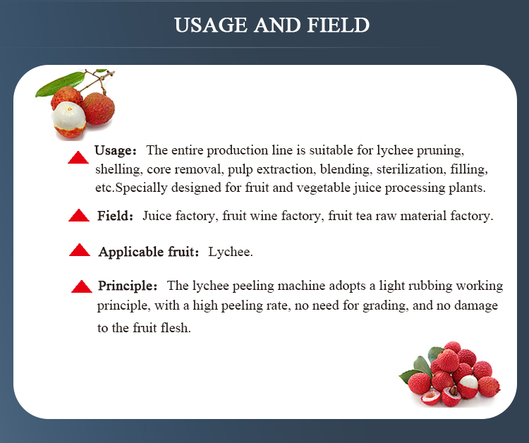 Automatic Lychee Processing Line And Peeling Machine, High Quality ...