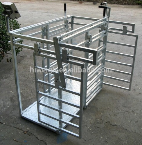 Livestock Scale Sheep Scale Goat Scale Model Avs1398, High Quality ...