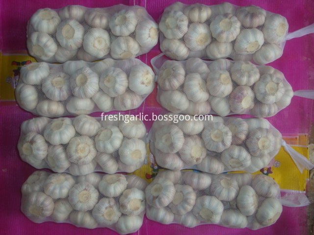 Normal White Garlic Packed In 1kg 10bags Carton, High Quality Normal ...