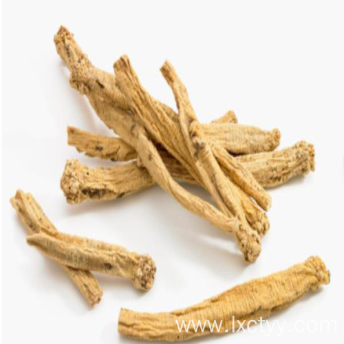 codonopsis pilosula root food China Manufacturer