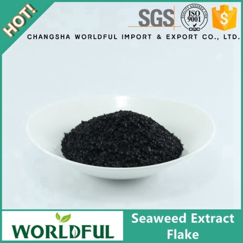 Flake Seaweed Extract Seaweed Fertilizer Seaweed Extract Fertilizer ...