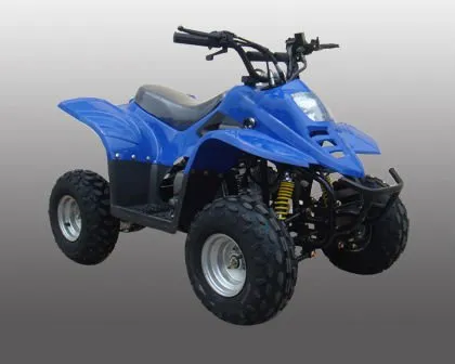 50cc Atv-2, High Quality 50cc Atv-2 on Bossgoo.com