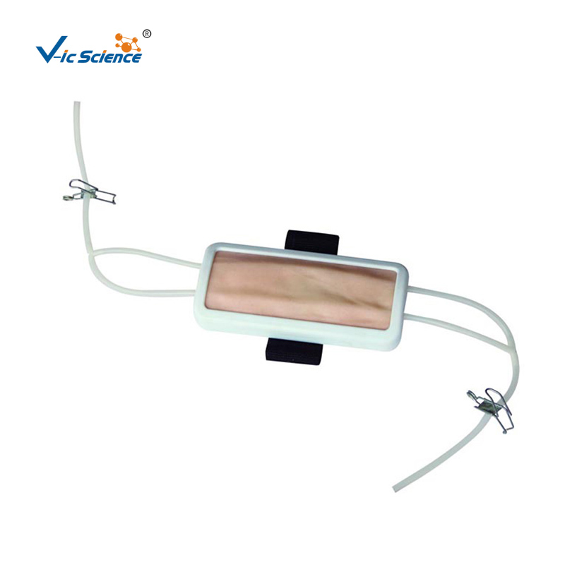 Medical Science Injection Pad Model, High Quality Medical Science ...