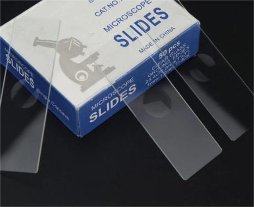 Microscope Slide Polished Edges With Single Cavity, High Quality ...