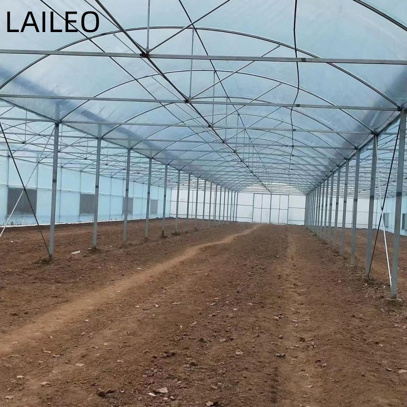Multi-span Plastic Film Agricultural Greenhouse Factory - Prices For ...