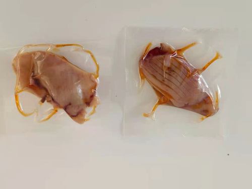 Dried Squid Wing For Sale Sea Food, High Quality Dried Squid Wing For ...