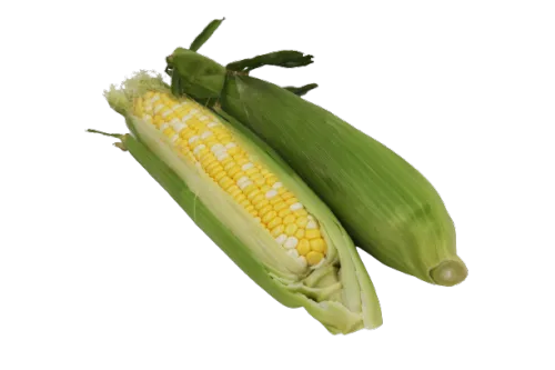 Organic Isomalto-oligosaccharide 900 Corn Syrup Premium, High Quality Organic Isomalto ...