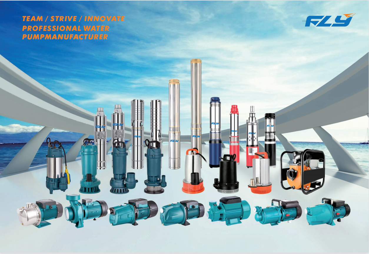 Fly Pum 12v 200w Dc Brushed Solar Screw Pump 1\" Od 25m, High Quality ...